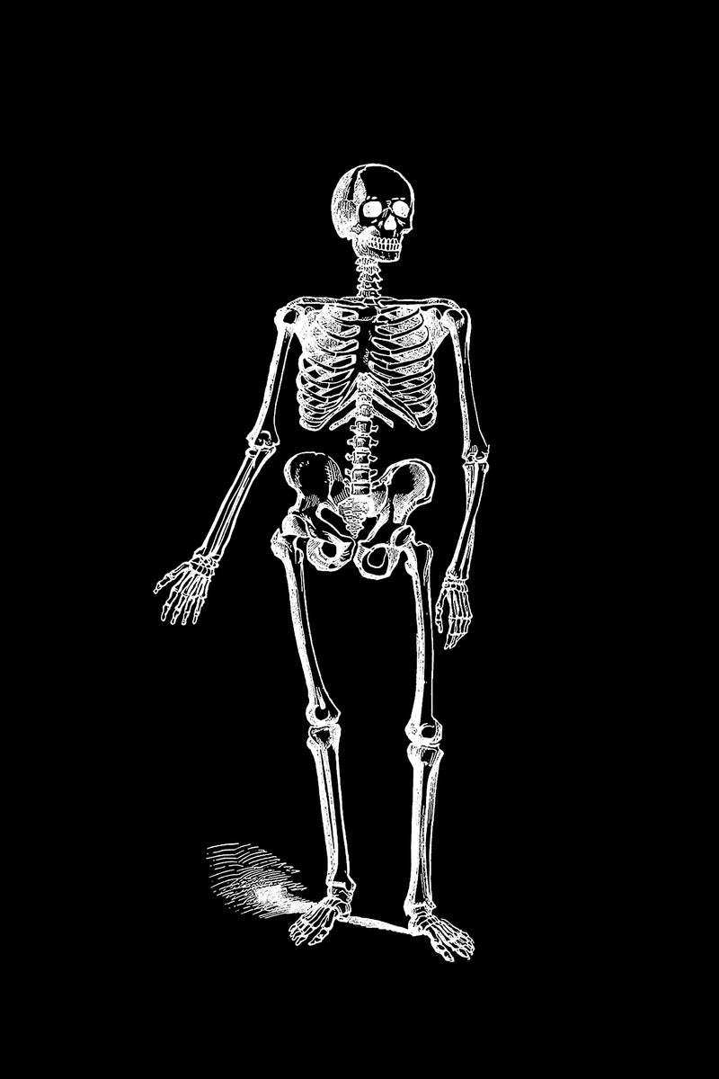 Black Skeleton – BFF PRINT SHOP