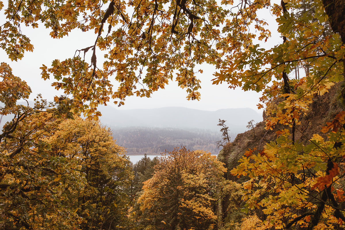 Fall Window – BFF PRINT SHOP