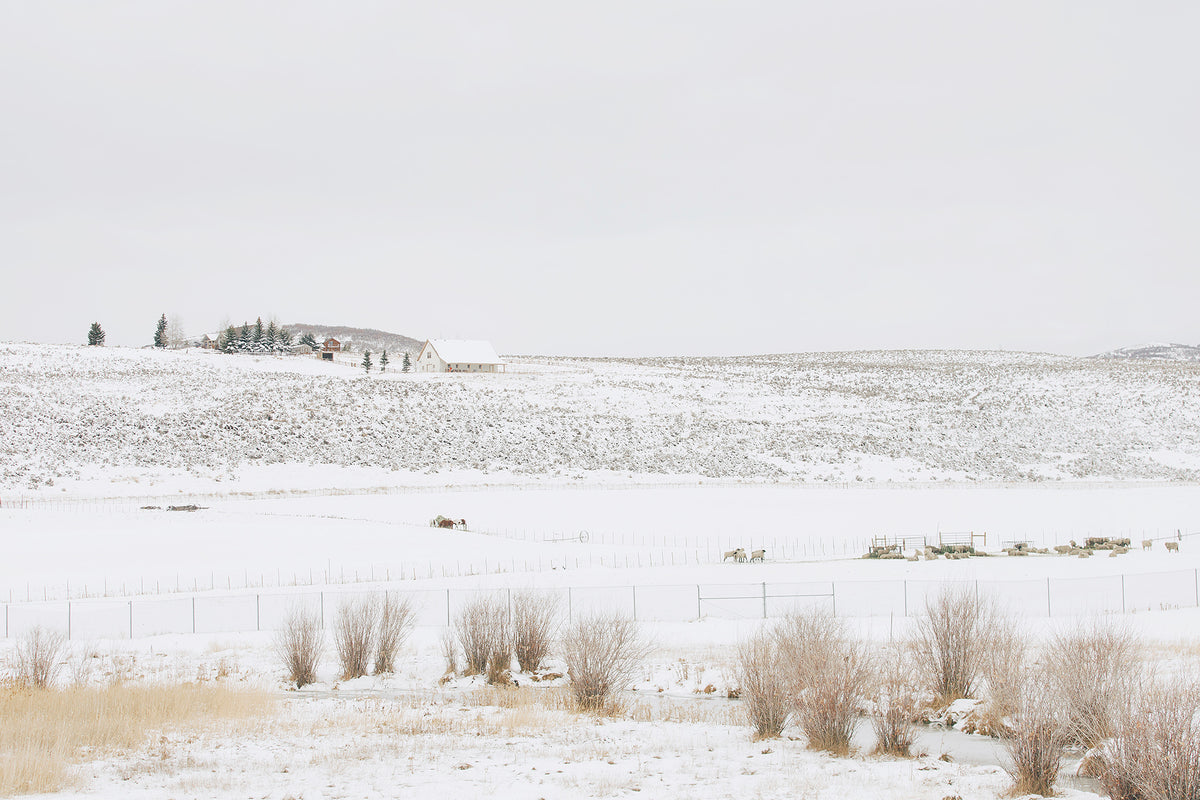 Frosty Farm – BFF PRINT SHOP