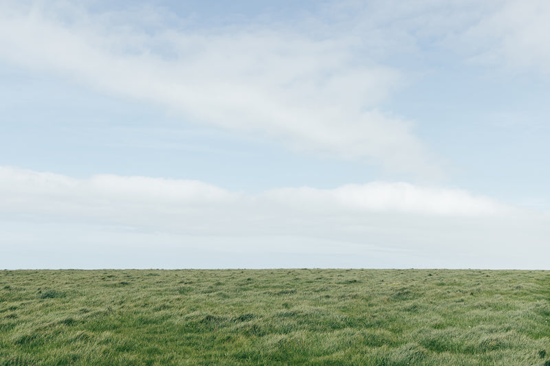 Le Gazon – BFF PRINT SHOP