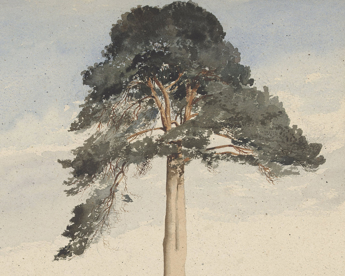 Lone Tree Study – BFF PRINT SHOP