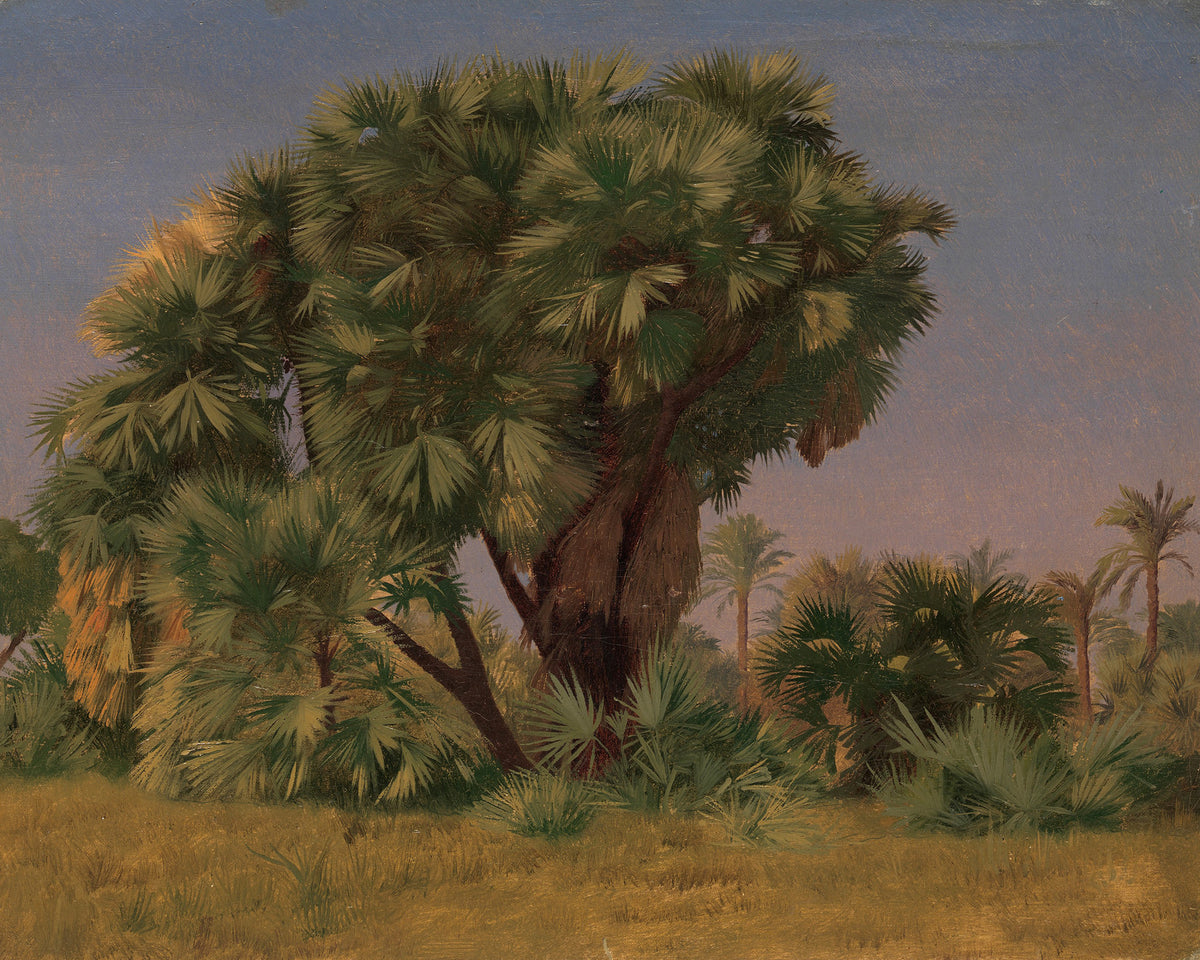 Palm Tree – BFF PRINT SHOP