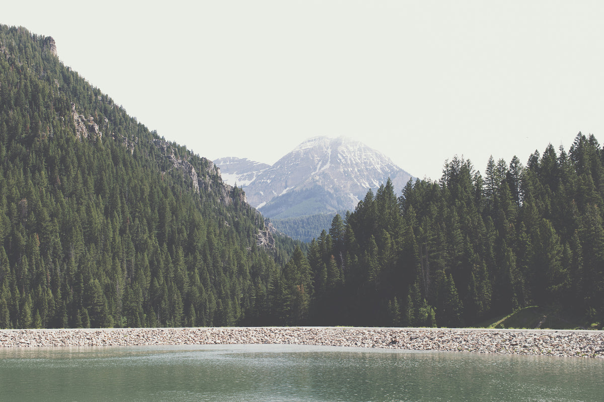 Tibble Fork – BFF PRINT SHOP