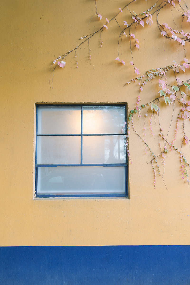 Yellow Window – BFF PRINT SHOP